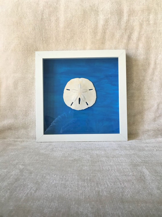 Sand Dollar Shadow Box