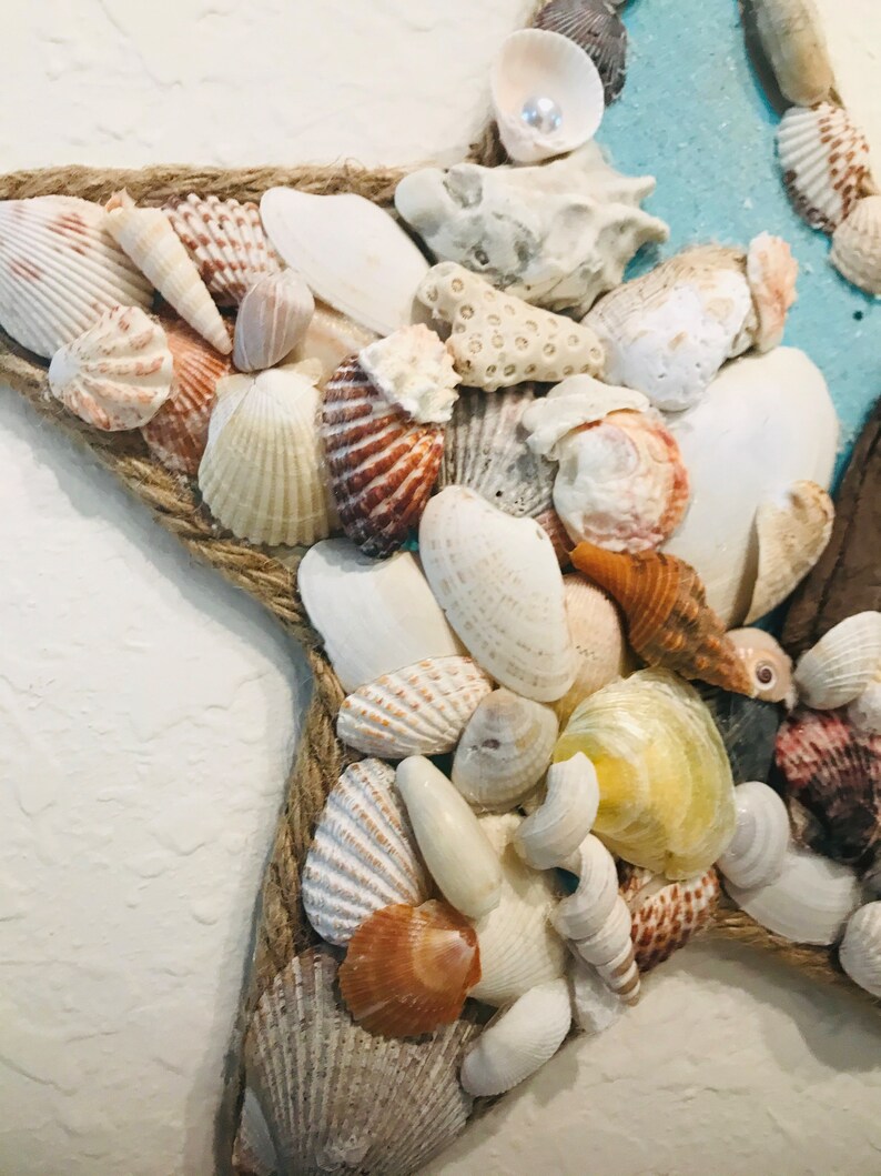 Holiday Gift Ideas-shell Art-sea Shell Art-beach Decor-beach - Etsy