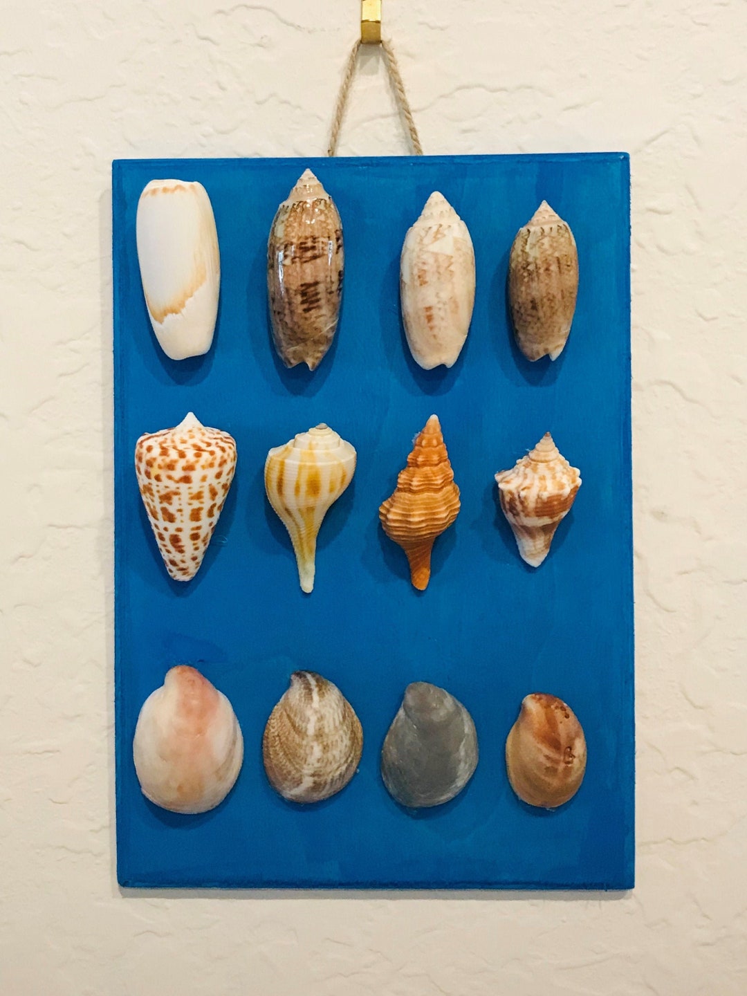 Shell Art-wall Art-coastal Decor-house Warmer Gift-beach Decor-home ...