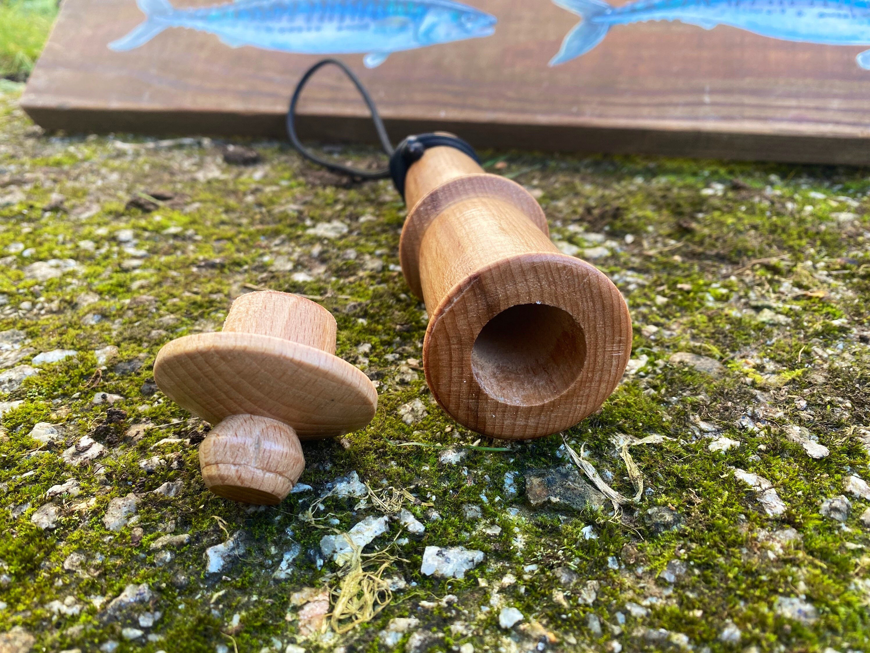 Celebrating Cornwall & The Outdoors — Cornwall Adventures