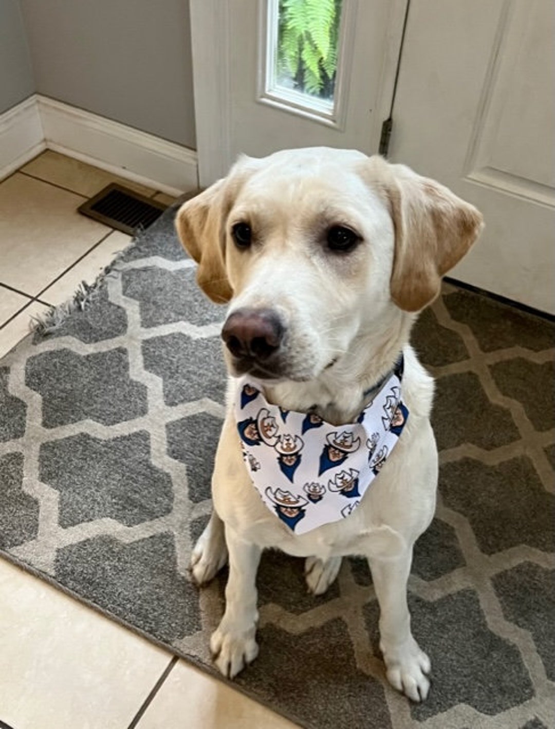 North Ridgeville Rangers Dog Bandana, Pet Bandana Collar, Bandana for ...