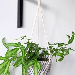 Indoor Plant Hook, Wall Mounted Wooden Plant Hanger STEM Plant Bracket ...