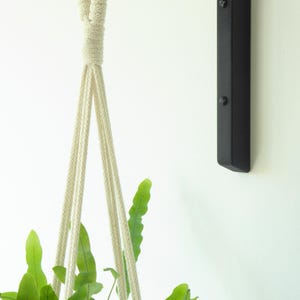 Indoor Plant Hook, Wall Mounted Wooden Plant Hanger - STEM Plant ...