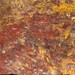 Indonesia Caddis Fly Larvae Agate Petrified Palm Root Rough Slice ...