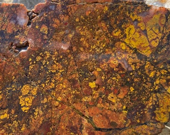 Sci-fi Porcelain Exotica Jasper Rough Slab Unpolished Lapidary Slice ...