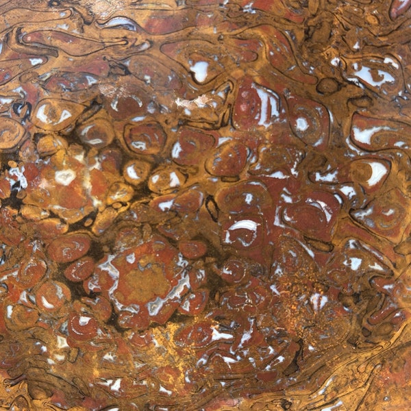 Tree Fern Slab - Etsy