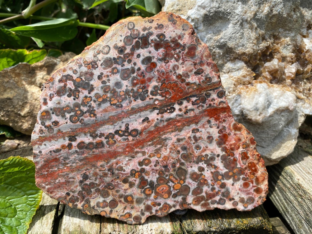 Leopardskin Jasper Slab Unpolished Raw Lapidary Rough Slice 200 Grams ...