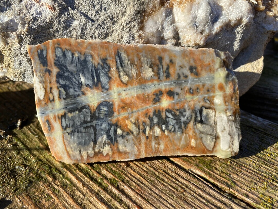 Picasso Jasper Marble Rough Lapidary Slab Raw Slice 115 Grams ...