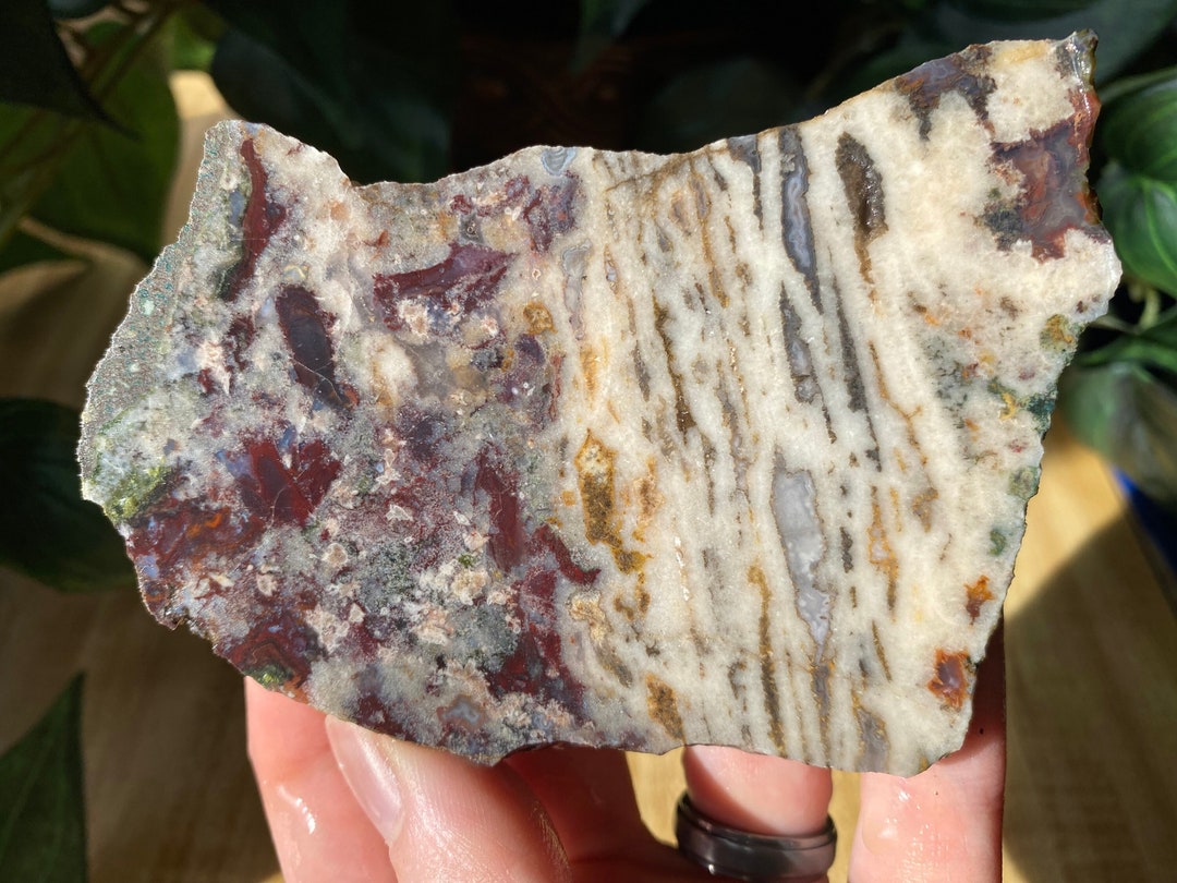 Red Lightning Moss Agate Unpolished Lapidary Slab Rough Slice 129 Grams ...