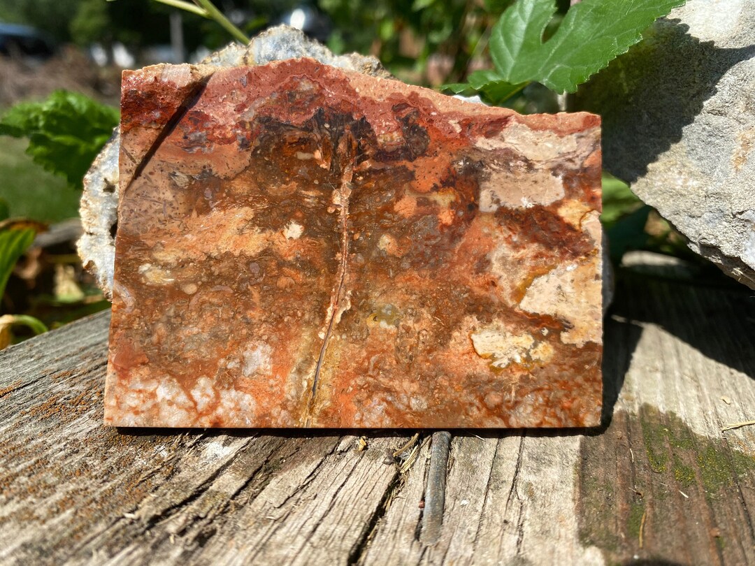 Bog Agate From Oregon Rough Lapidary Slab Raw Slice 91 Grams - Etsy