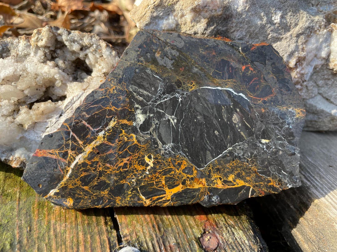 WEDGE CUT Iron Buffalo Slab Unpolished Rough Slice From Nevada 229 ...