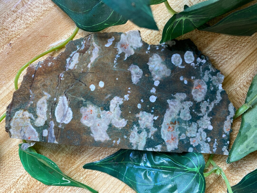 Cascade Rainforest Rhyolite Unpolished Slab Lapidary Rough Slice for ...