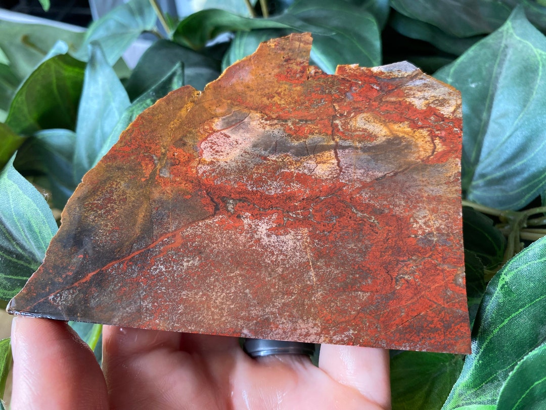 Red Black Jasper Slab Unpolished Rough Lapidary Raw Slice 133 Grams - Etsy