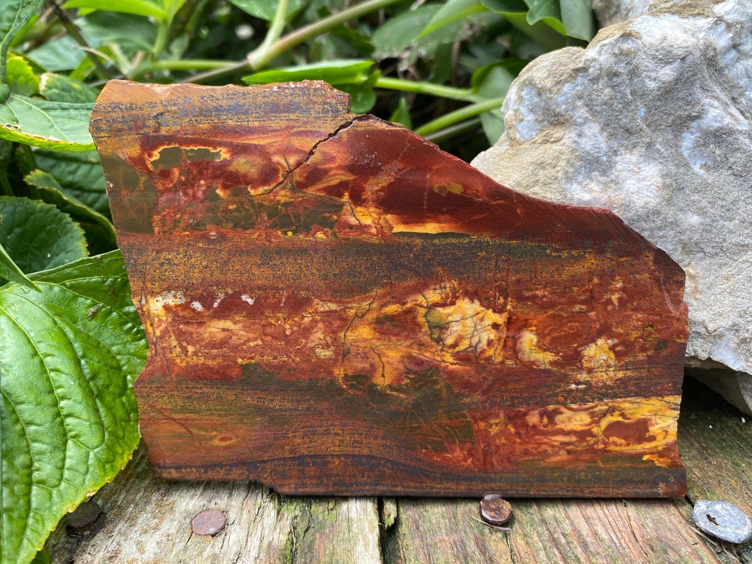 Brockman Jasper From the Australian Tiger Eye Mine Lapidary Rough Slab ...