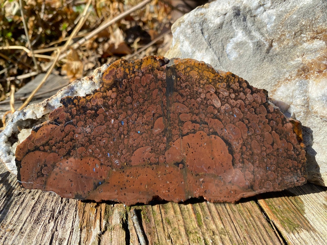Mushroom Rhyolite Unpolished Rough Slice Lapidary Raw Slab 195 Grams - Etsy