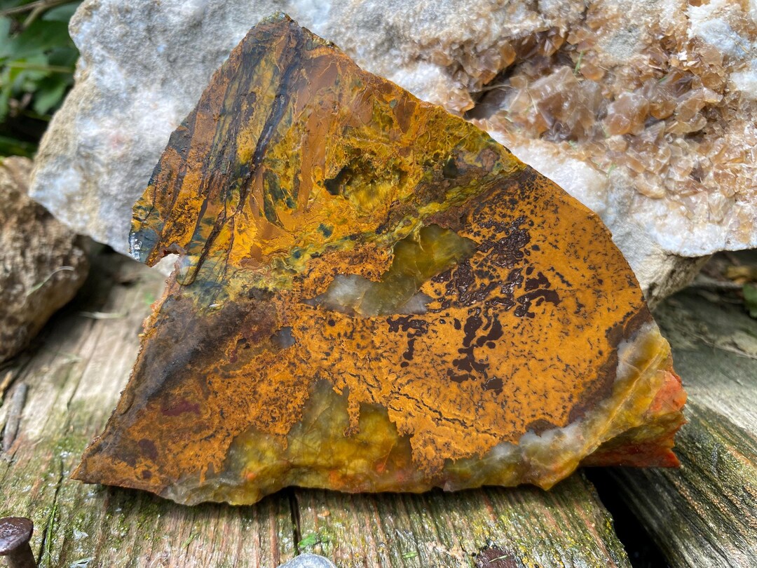 THICK Nellite Lionskin Honeystone Unpolished Slab Lapidary Rough Slice ...