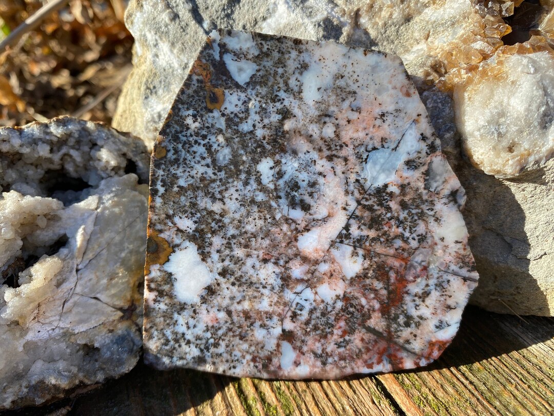 St. Johns Flower Agate Rough Slab Unpolished Lapidary Slice 116 Grams ...