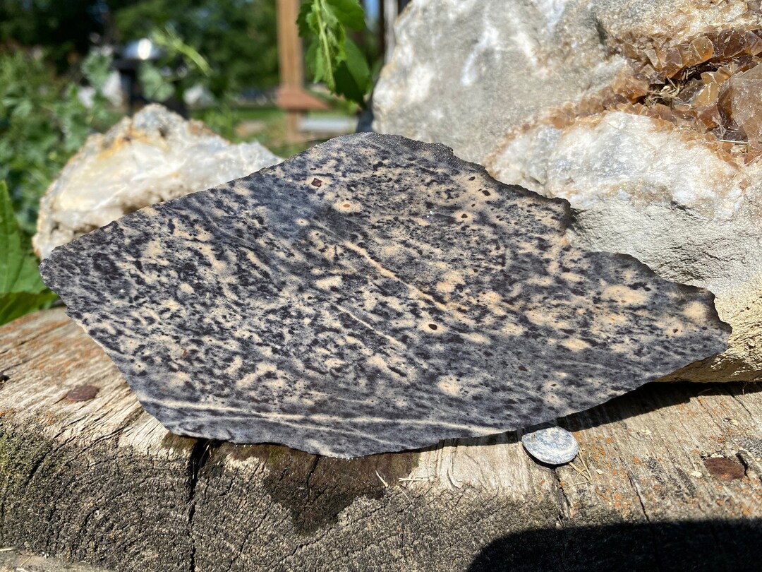 Dendritic Skin Jasper From Namibia Unpolished Lapidary Slab Rough Slice ...
