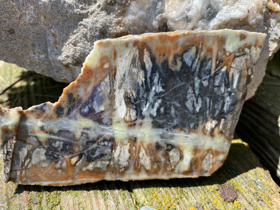 Picasso Jasper Marble Rough Lapidary Slab Raw Slice 118 Grams ...