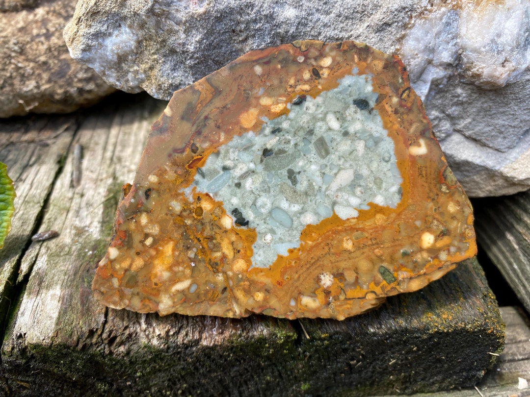 Blue Mustang Picture Jasper Slab Unpolished Raw Lapidary Rough Slice ...