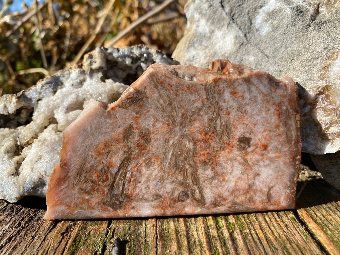 Coprolite Dino Poo Unpolished Dung Lapidary Slab Rough Slice - Etsy