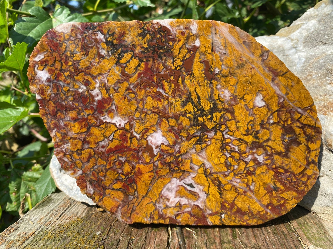 THICK Stony Creek Brecciated Jasper Raw Unpolished Lapidary Slab Rough ...