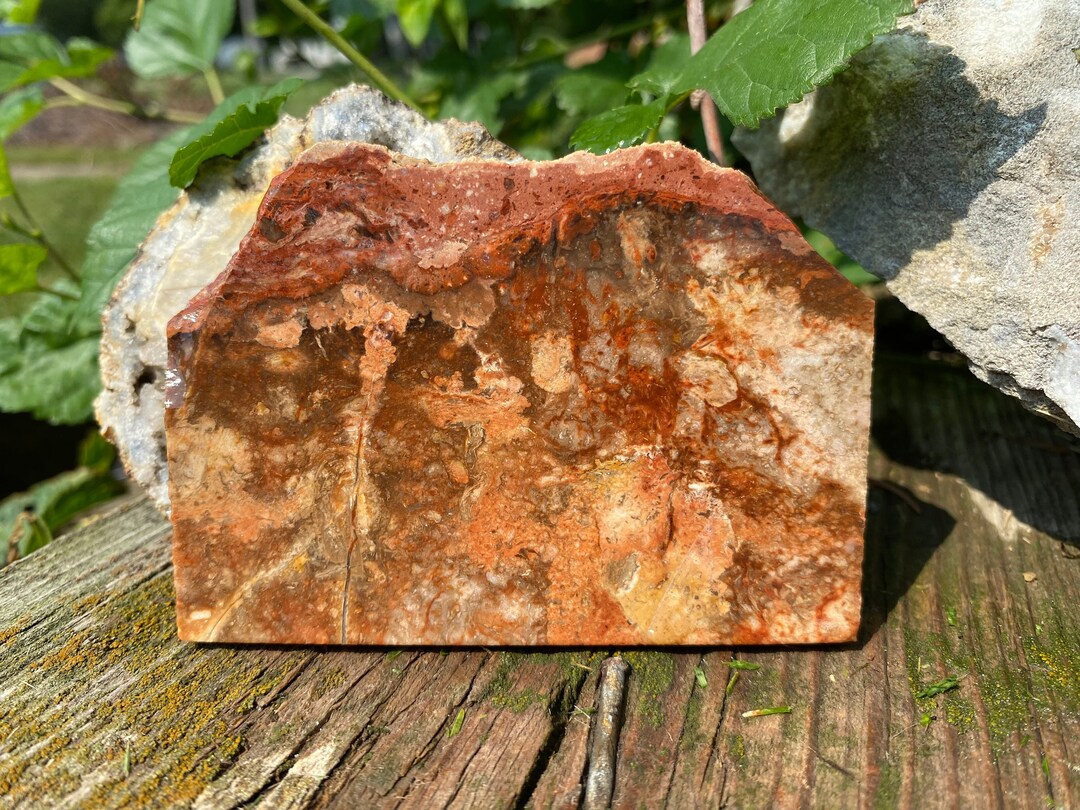Bog Agate From Oregon Rough Lapidary Slab Raw Slice 80 Grams - Etsy