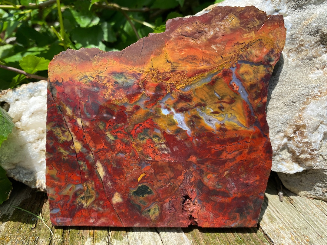 Marston Ranch Jasper Agate Rough Slice Lapidary Slab From Oregon 225 ...