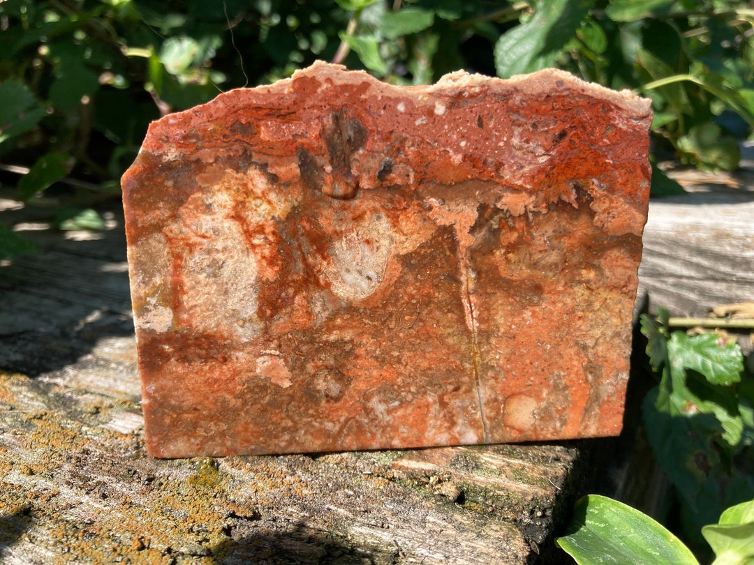 Bog Agate From Oregon Rough Lapidary Slab Raw Slice 91 Grams - Etsy