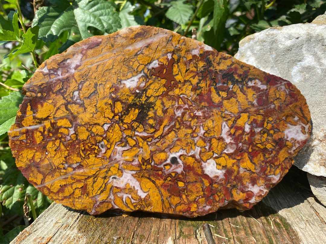 Stony Creek Brecciated Jasper Raw Unpolished Lapidary Slab Rough Slice ...