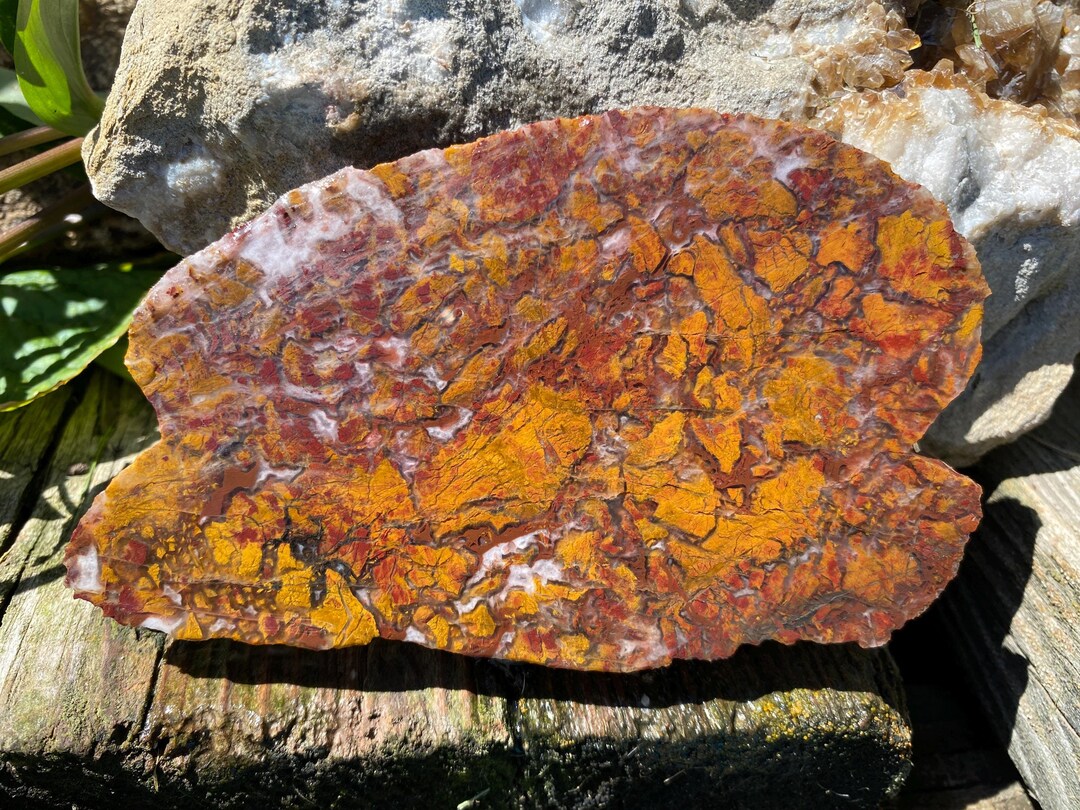 Stony Creek Brecciated Jasper Raw Unpolished Lapidary Slab Rough Slice ...