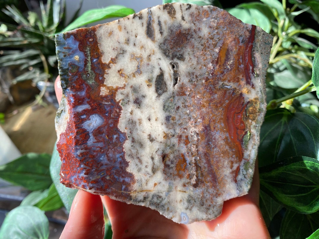 THICK! Red Lightning Moss Agate Unpolished Lapidary Slab Rough Slice ...