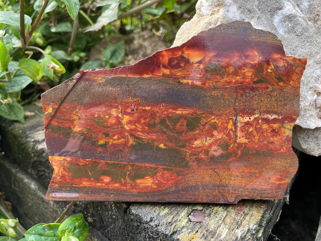 Brockman Jasper From the Australian Tiger Eye Mine Lapidary Rough Slab ...