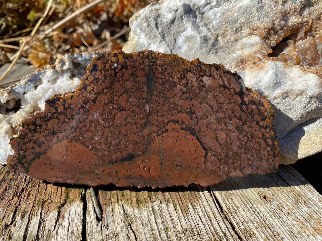 THICK! Mushroom Rhyolite Unpolished Rough Slice Lapidary Raw Slab 249 ...