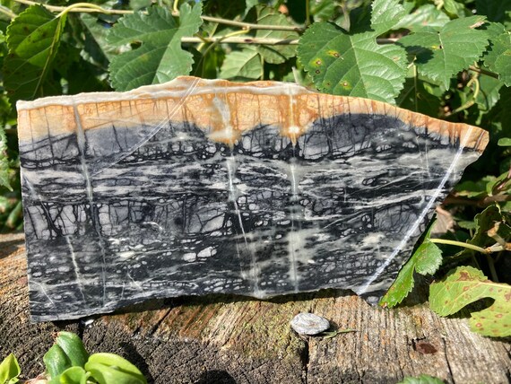 Picasso Jasper Marble Rough Lapidary Slab Raw Slice 180 Grams - Etsy