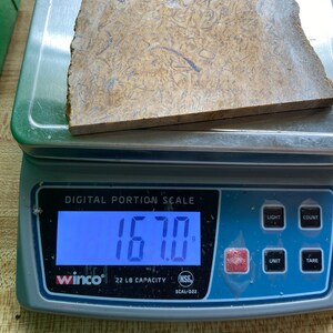 Coquina Indian Script Stone Fossil Jasper Unpolished Lapidary Slab ...