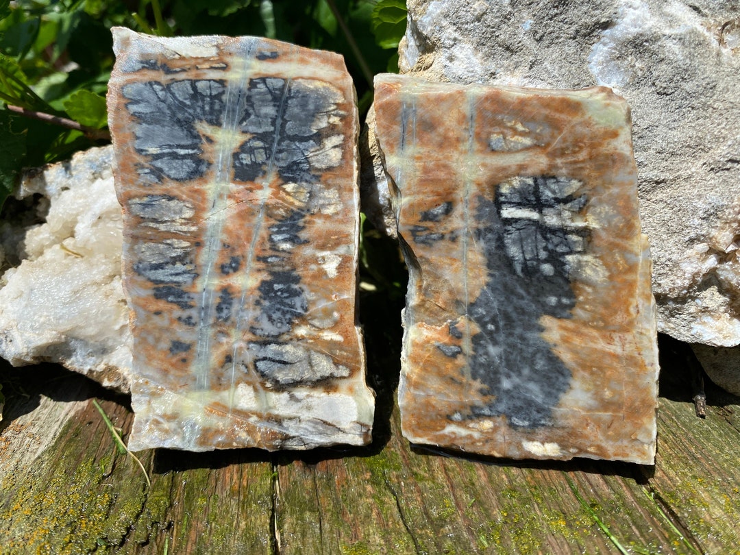 Two Pieces! Picasso Jasper Marble Rough Lapidary Slab Raw Slice 196 ...
