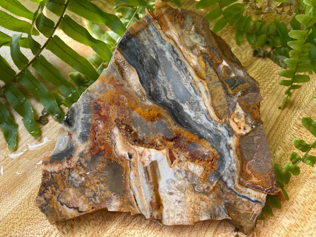Rainbow Ridge Agate Unpolished Slab Raw Lapidary Rough Slice - Etsy