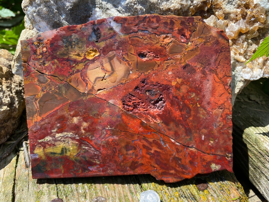 Marston Ranch Jasper Agate Rough Slice Lapidary Slab From Oregon 240 ...