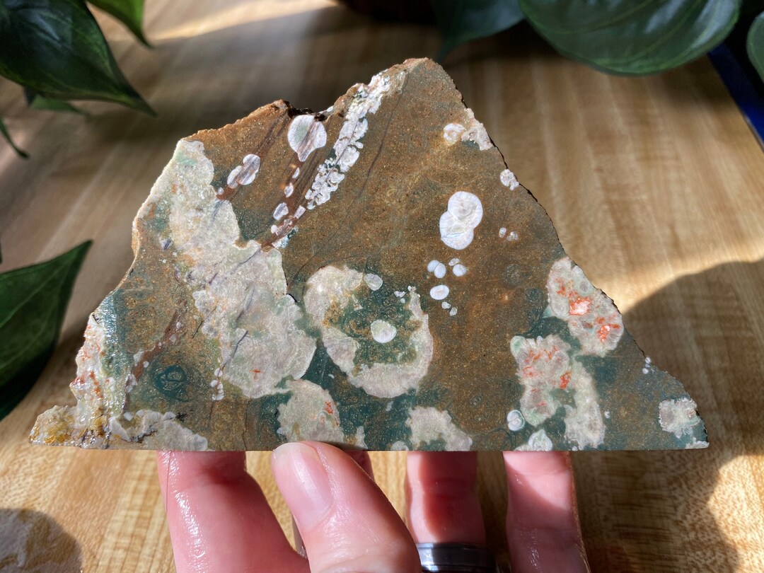 Cascade Rainforest Rhyolite Unpolished Slab Lapidary Rough Slice for ...