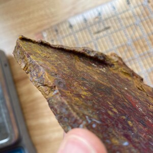 Indonesia Caddis Fly Larvae Agate Petrified Palm Root Rough Slice ...