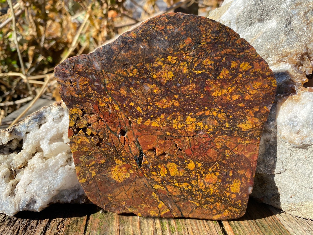 Autumn Gold Leaf Jasper Raw Unpolished Lapidary Slab Rough 193 Grams - Etsy