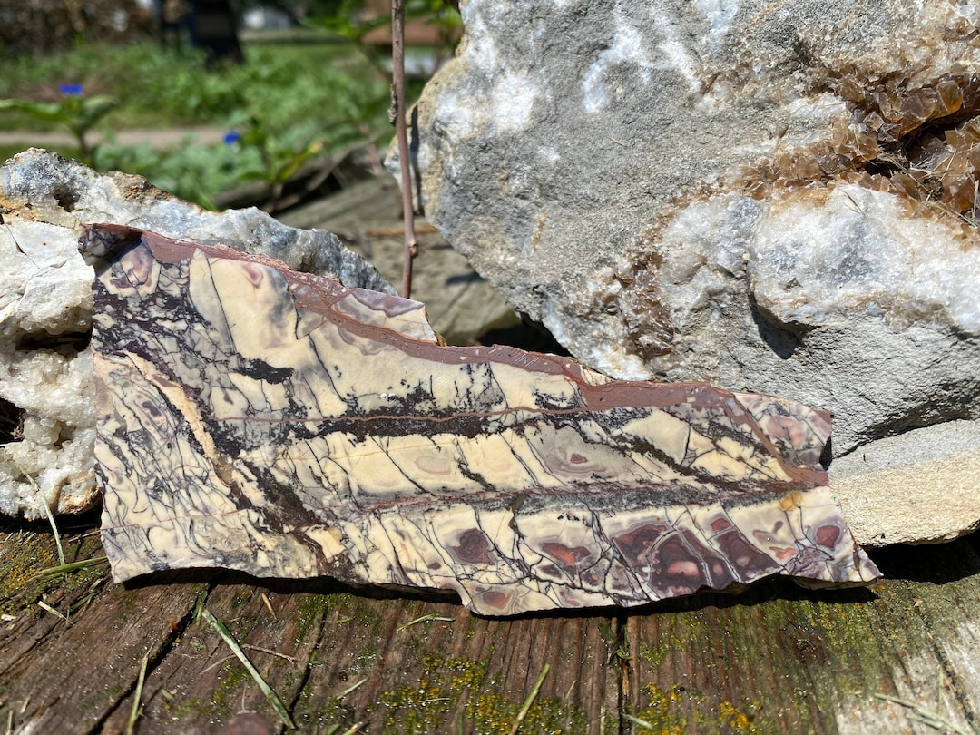 Sci-fi Porcelain Exotica Jasper Rough Slab Unpolished Lapidary - Etsy