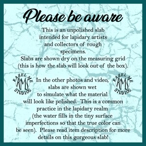 Quetzal Bird Agate Raw Lapidary Rough Slab Unpolished Slice 191 Grams ...