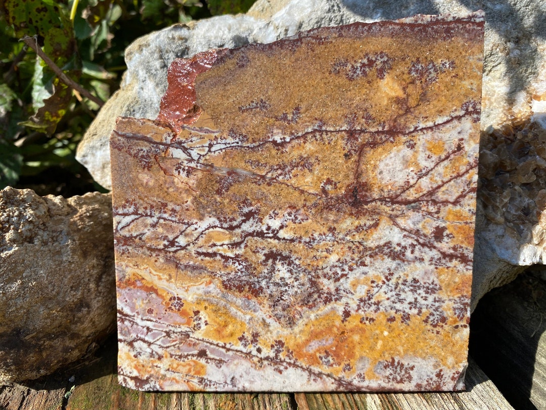 Sonoran Flower Dendritic Jasper Slab Raw Lapidary Rough Slice From ...