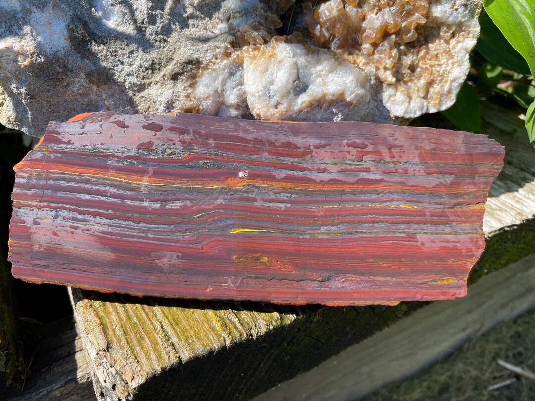 Australian Tiger Iron Rough Unpolished Lapidary Slab Raw Slice 272 ...