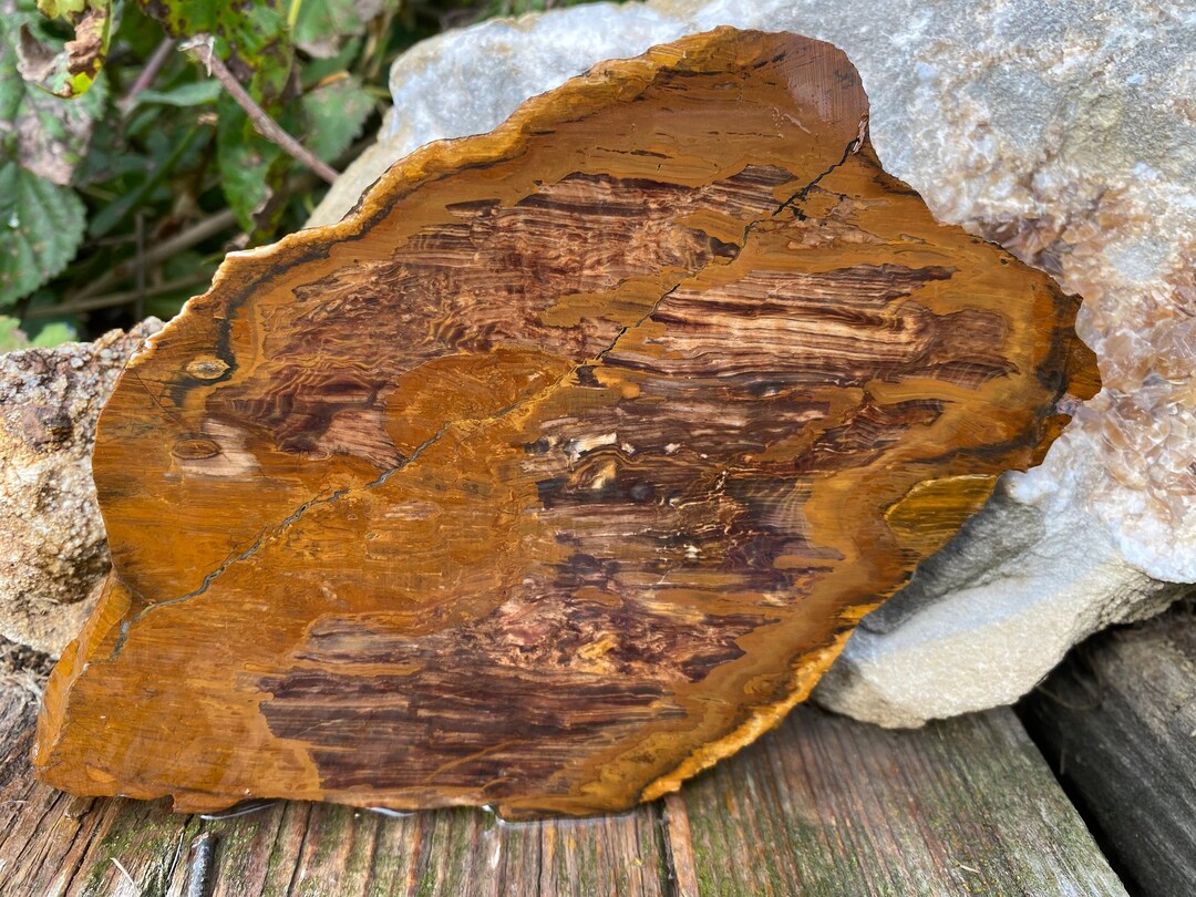THICK! Biggs Jasper Beers Mine Unpolished Lapidary Slab Rough Slice ...
