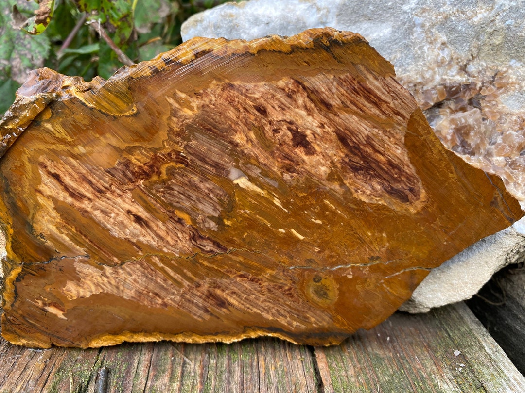 THICK! Biggs Jasper Beers Mine Unpolished Lapidary Slab Rough Slice ...