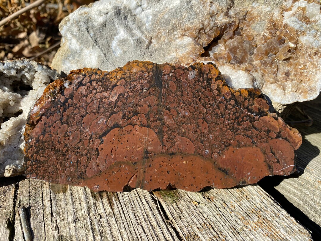 Mushroom Rhyolite Unpolished Rough Slice Lapidary Raw Slab 172 Grams - Etsy