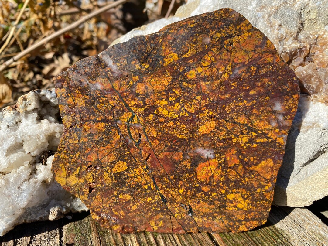 Autumn Gold Leaf Jasper Raw Unpolished Lapidary Slab Rough 258 Grams - Etsy